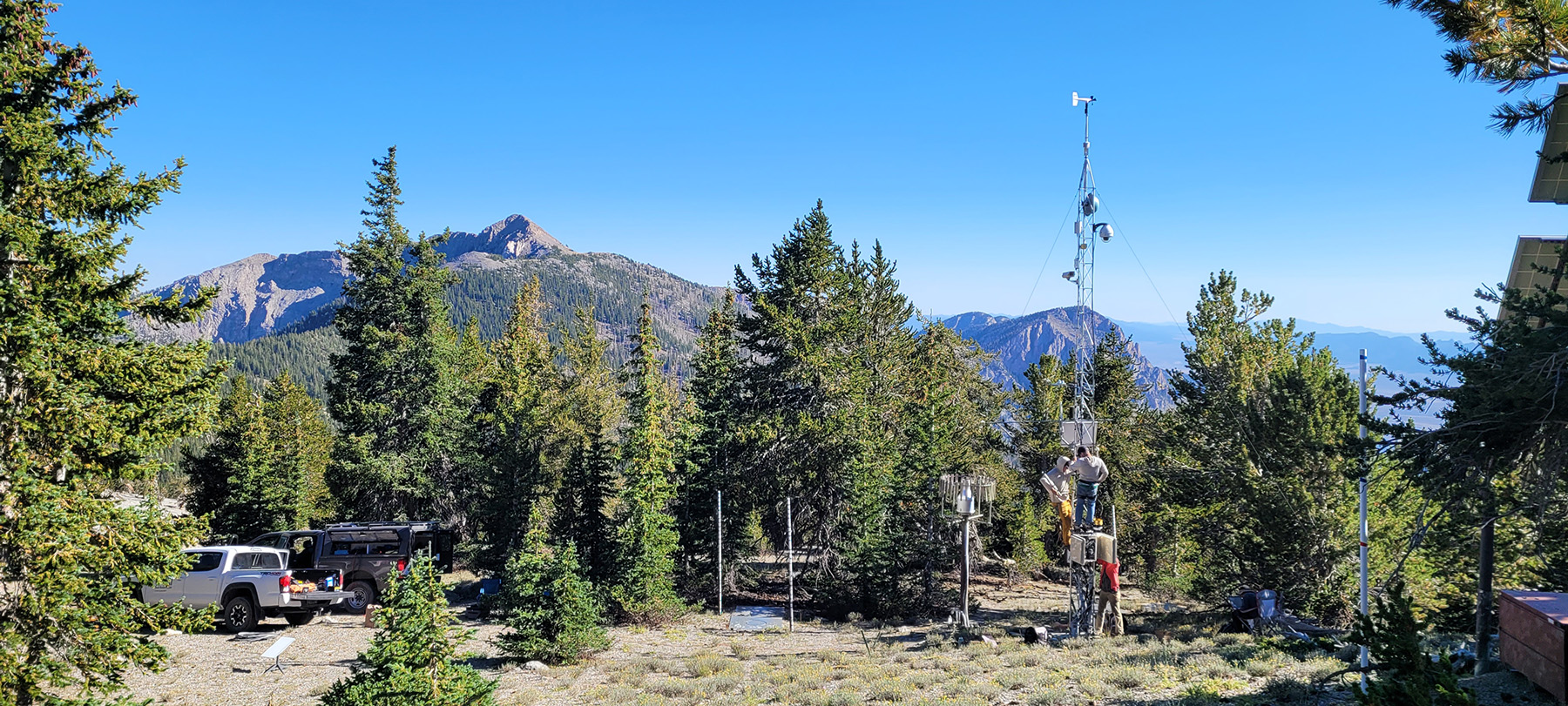 Long Science in the Nevada Bristlecone Preserve - DRI
