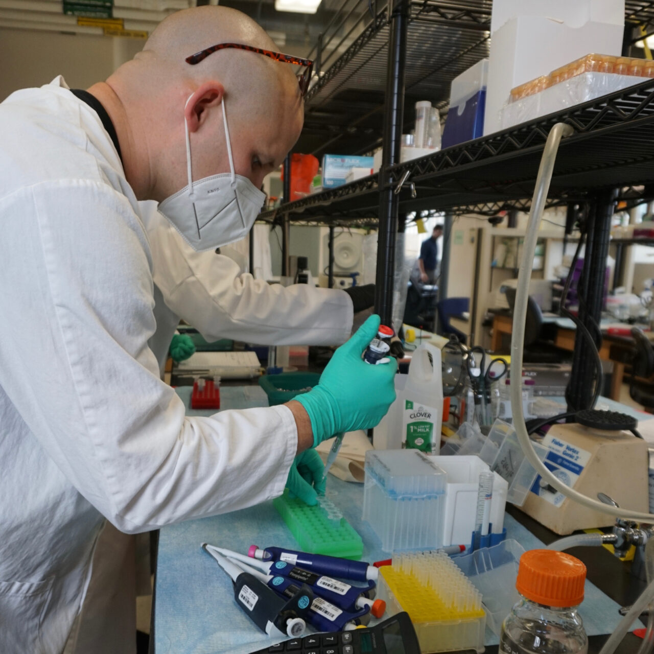 New DRI Internship Program Focuses on Mentorship for Inclusion in STEM ...