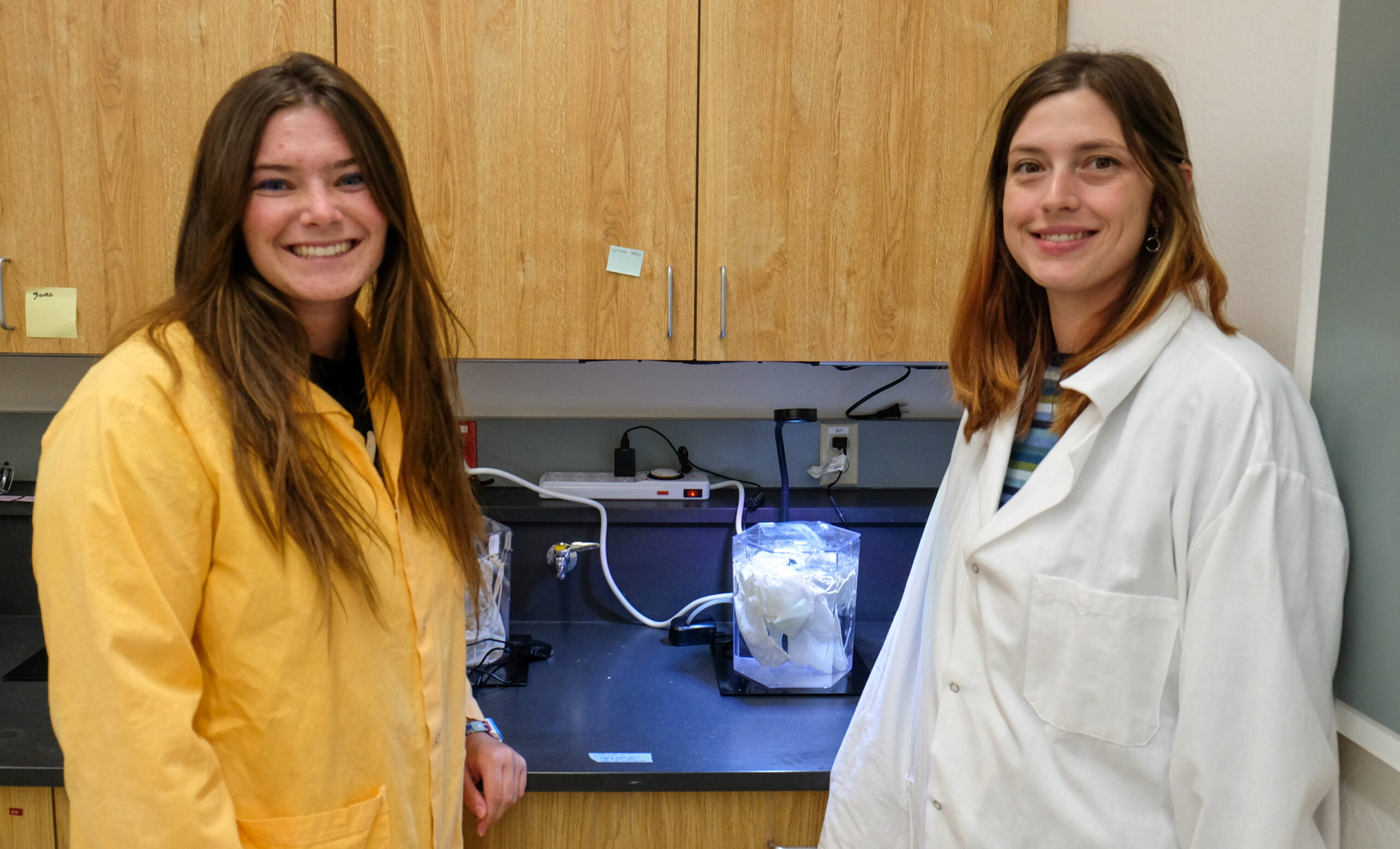 Meet Microplastics Research Students Angelique DePauw and Olivia Hines ...