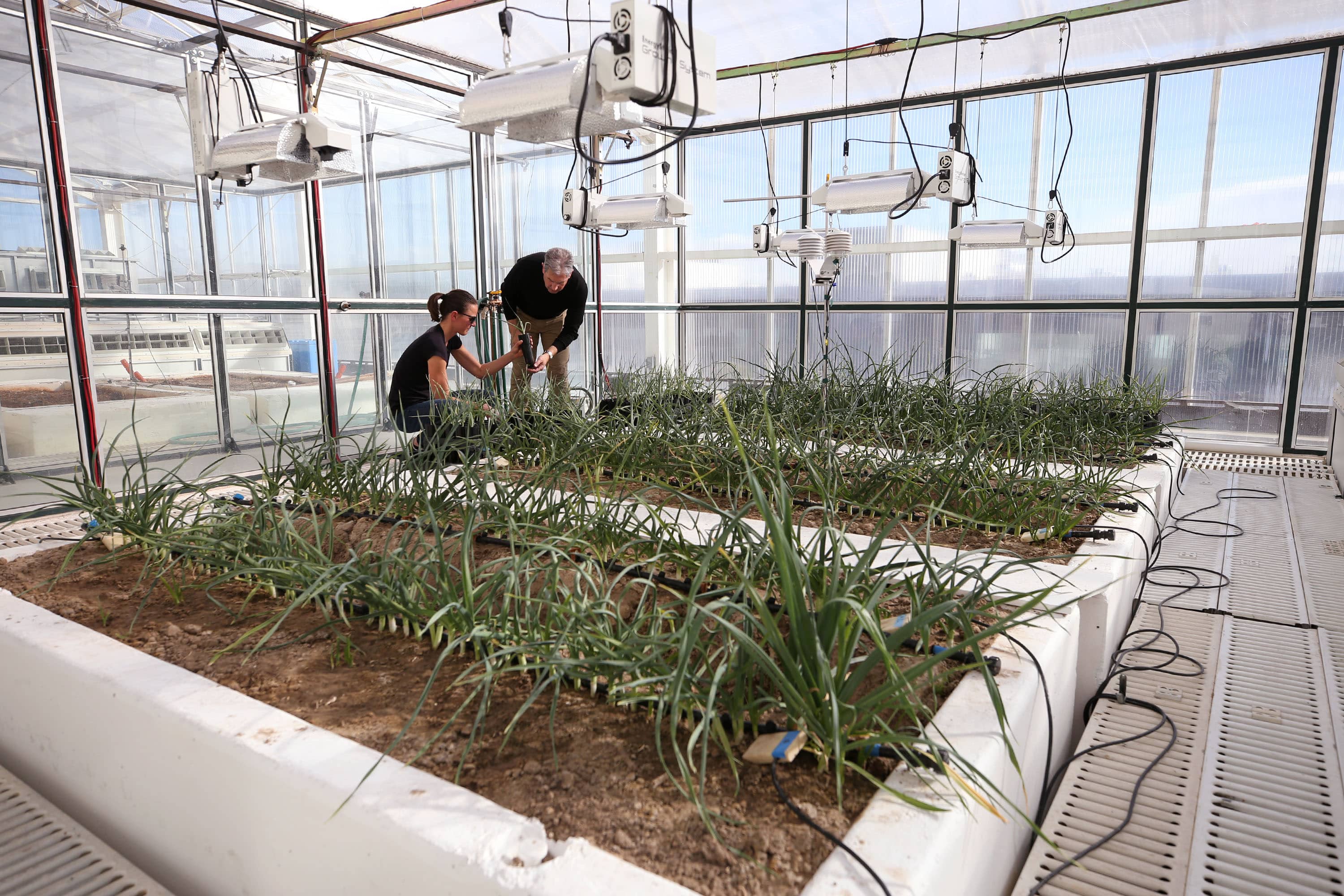 Tu Biomics, Agriculture Biotechnology Company Spins Out Of DRI - DRI