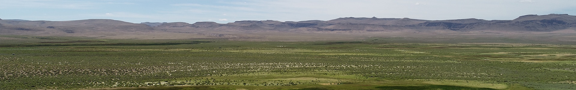 Groundwater Dependent Ecosystem Assessments - DRI