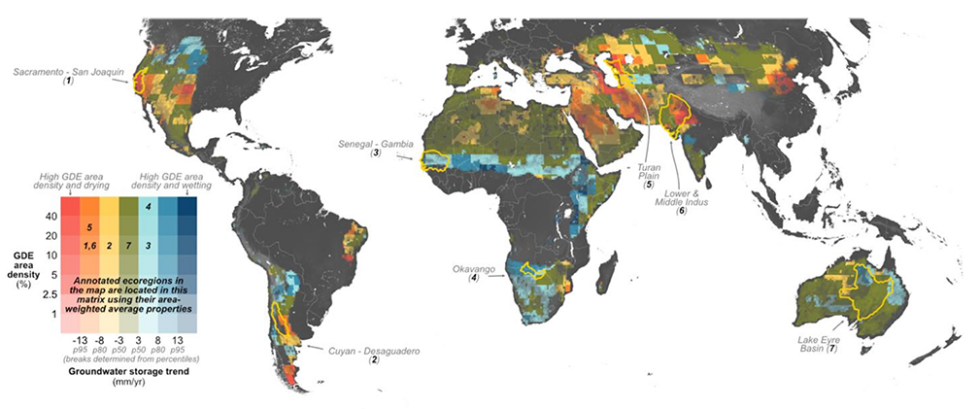 Groundwater is Key to Protecting Global Ecosystems - DRI