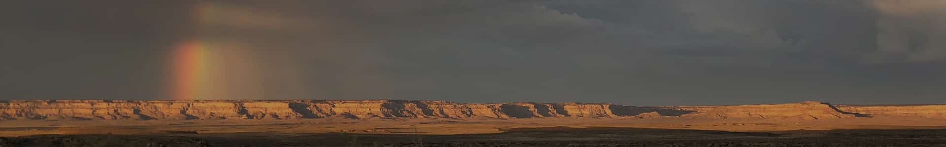 News & Announcements - DRI