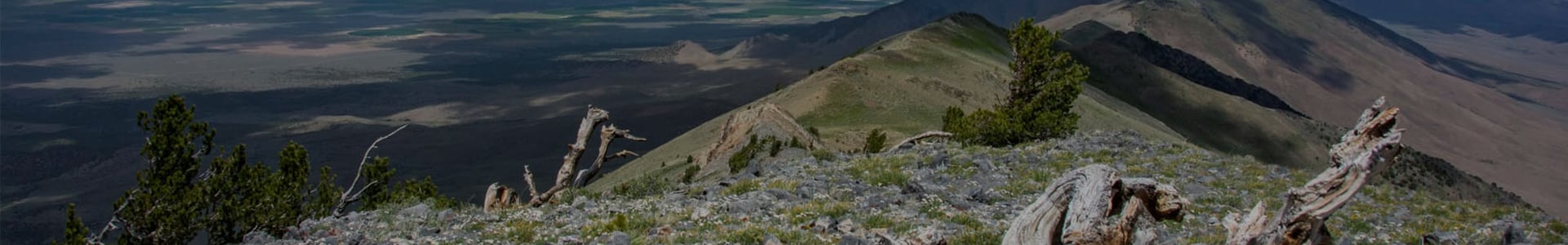 Western Regional Climate Center - DRI