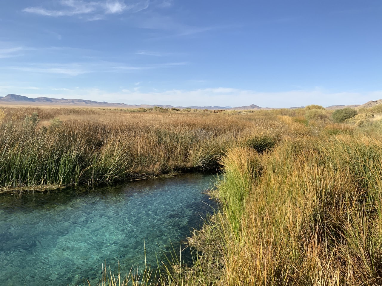 Drought Sensitivity and Trends of Riparian Vegetation in Nevada - DRI
