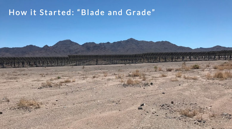 A Rare Desert Plant Shows Benefits of Sustainability Efforts at a Large ...